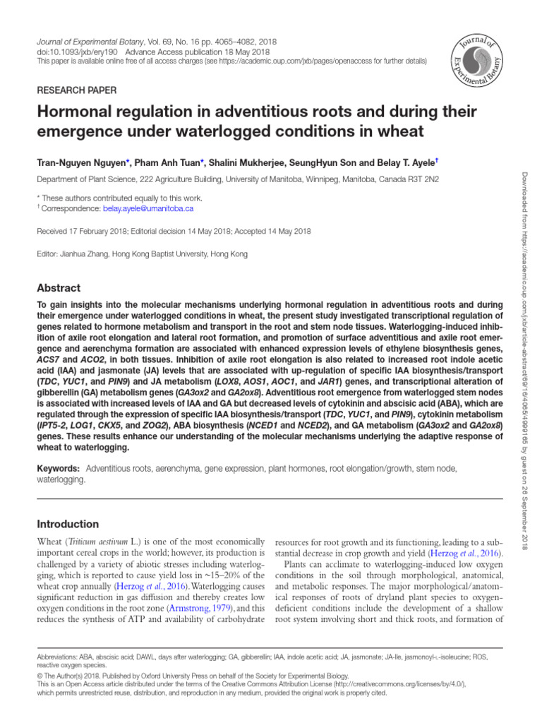 Hormonal Regulation in Adventitious Roots and During Their Emergence Under Waterlogged ...