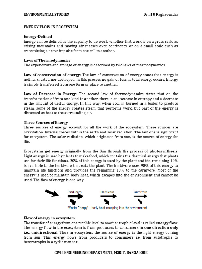 Unit-1 Energy Flow and Material Cycling in Ecosystem | PDF | Food Web ...