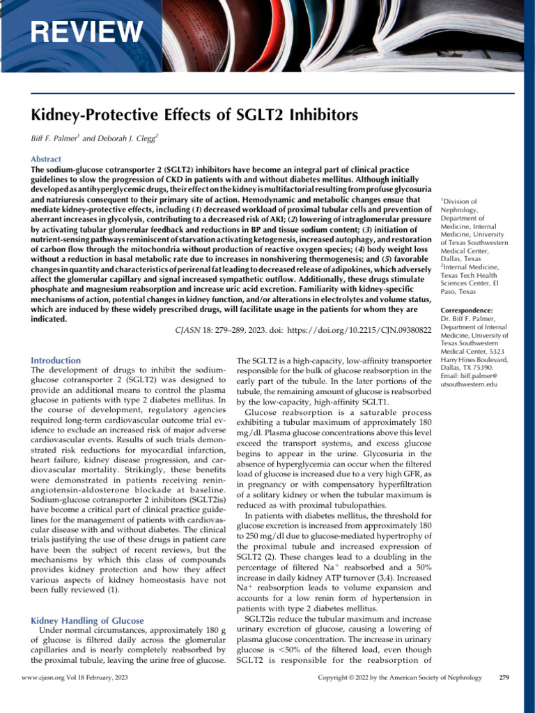 SGLT2 Inhibitors: Kidney Protection | PDF | Diabetes | Kidney