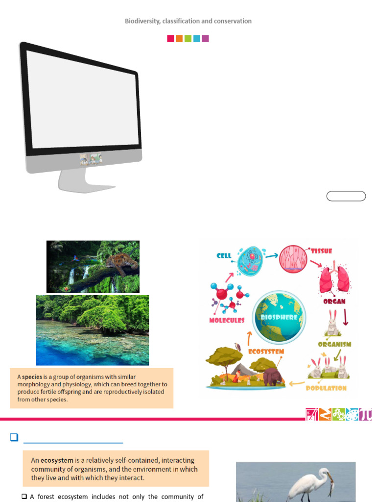 Grade 10 - Angga Puja Asiandu - Biodiv | PDF | Biodiversity | Taxonomy (Biology)