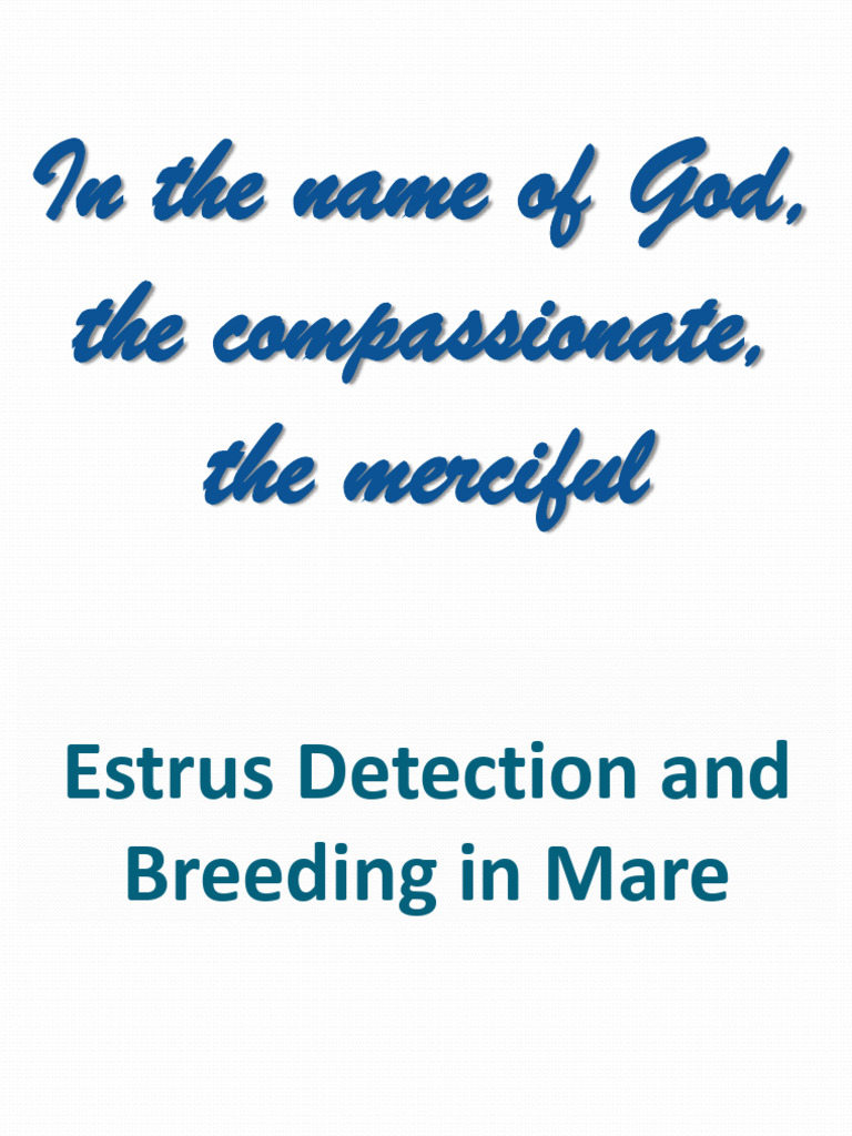 Estrus Detection and Breeding in Mare | PDF | Reproduction | Sexual ...