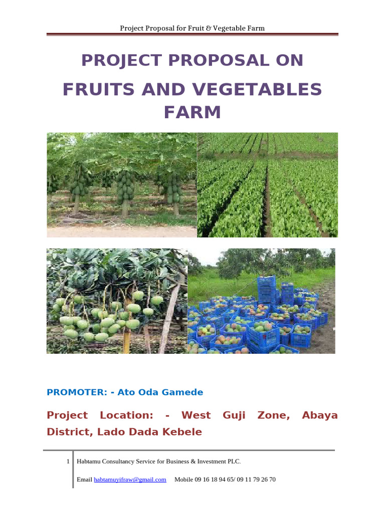 AA Vegitable Project | PDF | Agriculture | Taxes