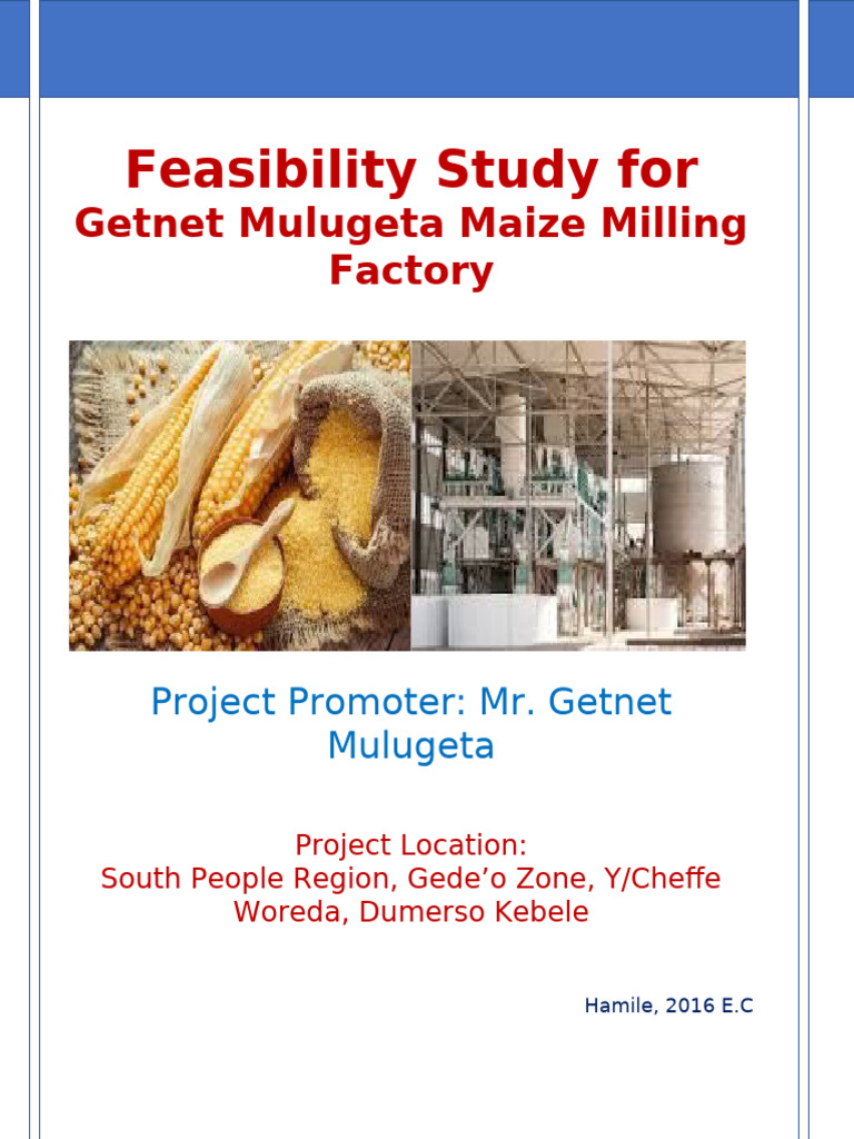 Feasibility Study for Maize Milling Project | PDF | Breads | Flour