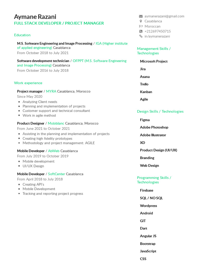 CV en | PDF | Computing | Software