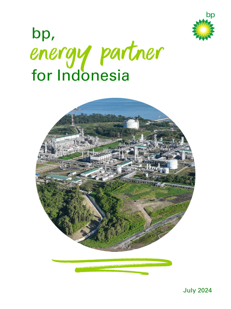 BP: Energy Solutions in Indonesia | PDF | Bp | Carbon Capture And Storage