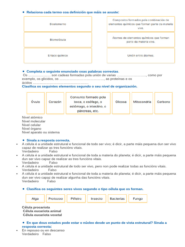 Relaciona Cada Termo Coa Definición Que Máis Se Axuste | PDF