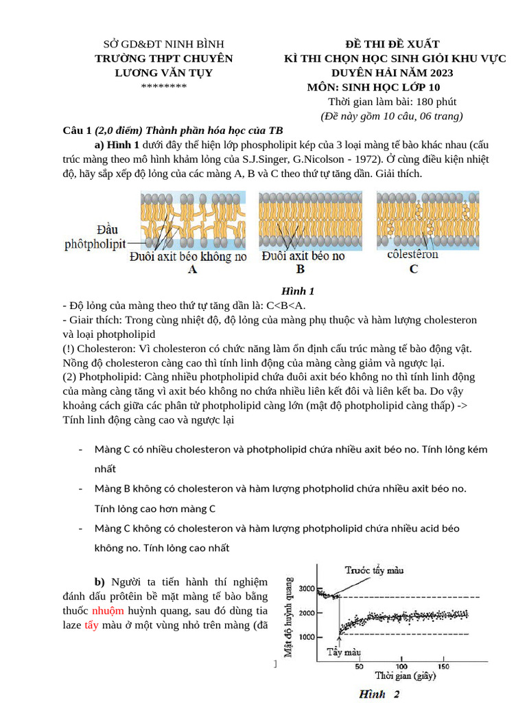Si 10 | PDF