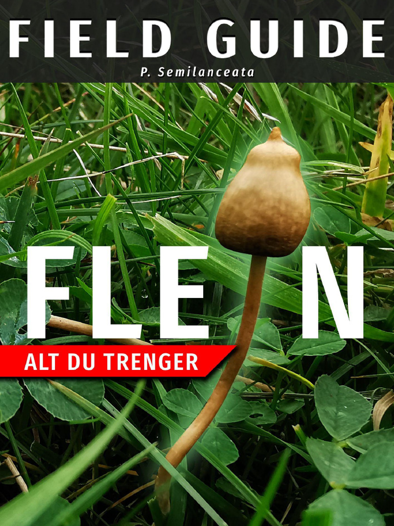 P. Semilanceata Fieldguide - The FML Project | PDF