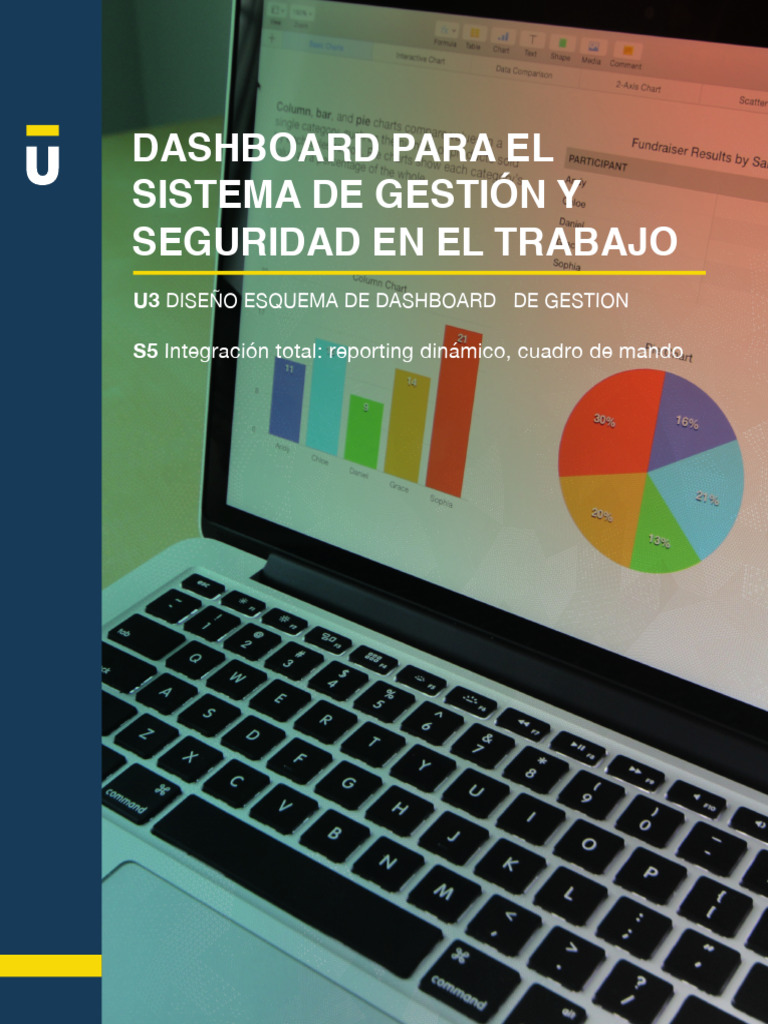 Reporting Dinámico, Cuadro de Mando | PDF | Informática