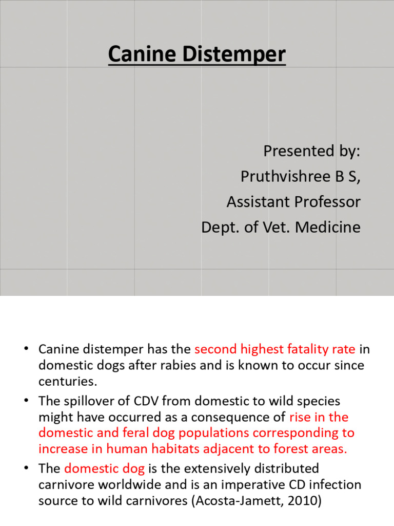 Early Distemper Signs in Dogs | PDF | Virus | Lymphocyte