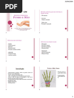 Aula 6 Ossos, Músculos, Inervação e Vascularização Do Punho e Mão | PDF ...