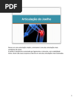 Protocolo de Lyon para Tomografia de Joelho | PDF