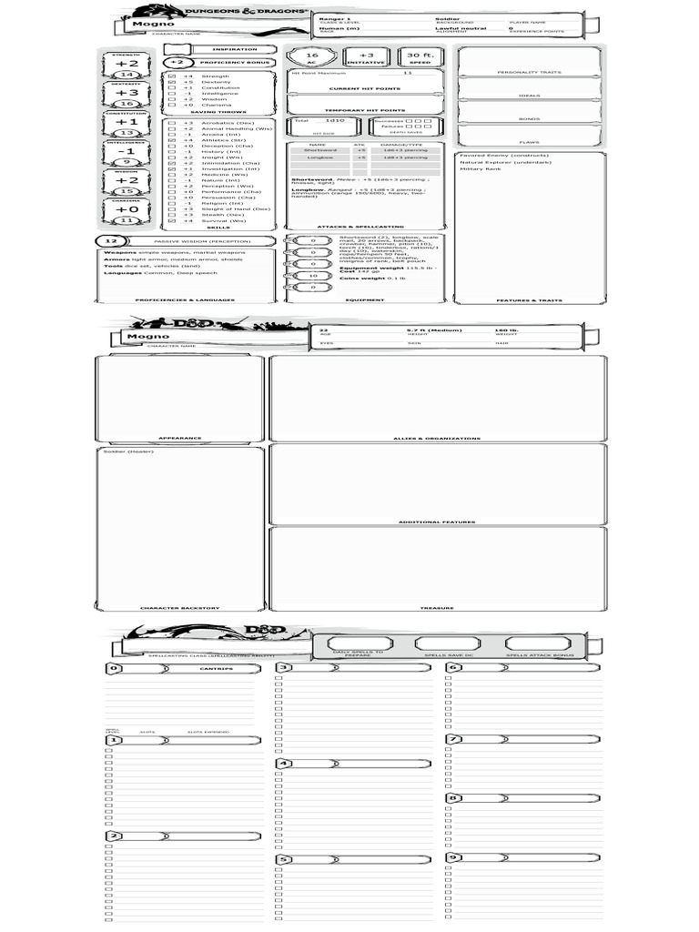 Character Sheet Dungeons Dragons - DD 5 | PDF | Role Playing Video Games | Role Playing Games