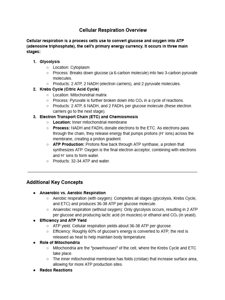 Cellular Respiration Overview | PDF | Cellular Respiration | Adenosine ...