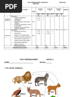 Modele Testesh - Histori 6 | PDF