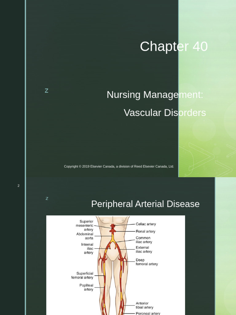 SV - Vascular - PVD System | PDF | Thrombosis | Interventional Radiology