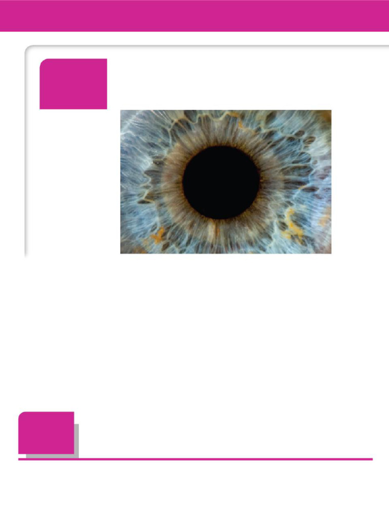 Lecture 4.1, Week 5 | PDF | Function (Mathematics) | Mathematical Analysis