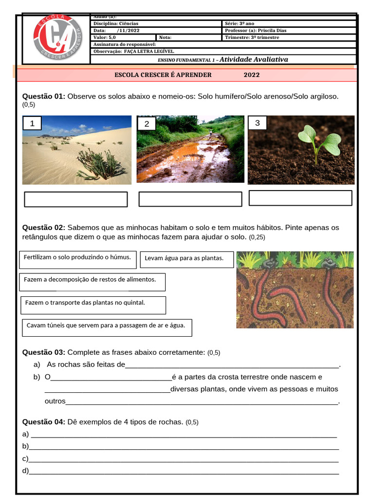 Atividade Avaliativa 3º Ano As Rochas e Solo | PDF | Solo | Materiais naturais