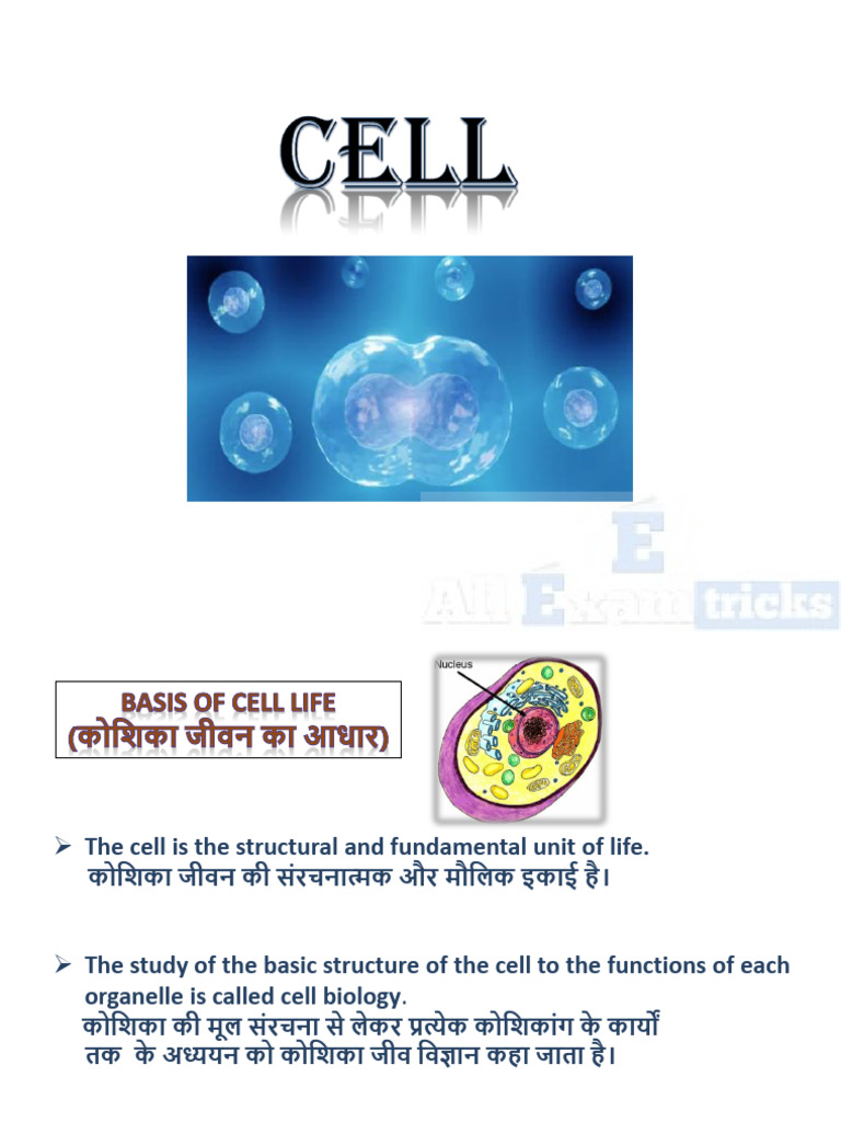 01 Cell | PDF