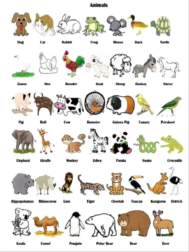 A Animals Ang | PDF