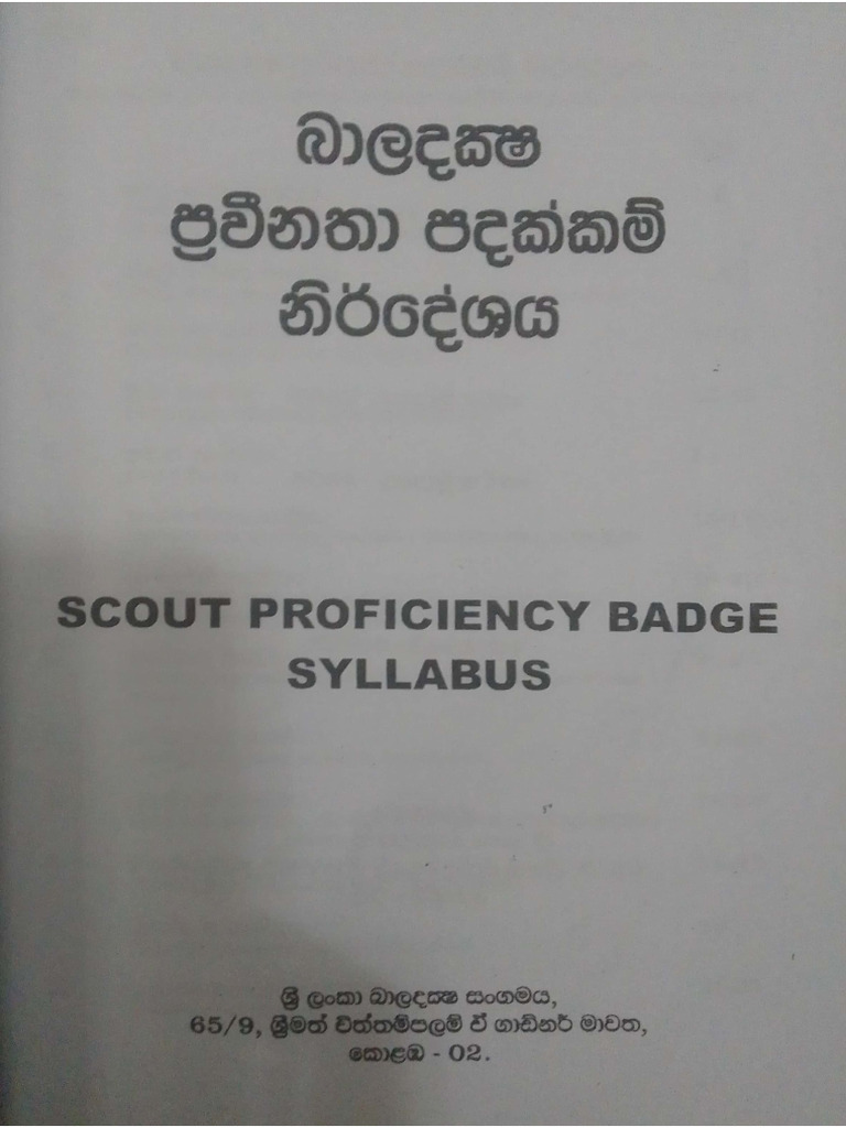 Scout Proficiency Badge Syllabus - Junior Scout | PDF