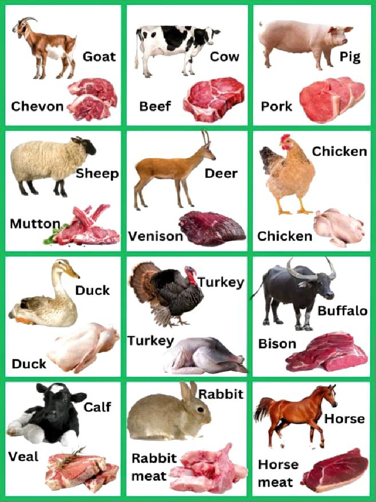 A Meat | PDF