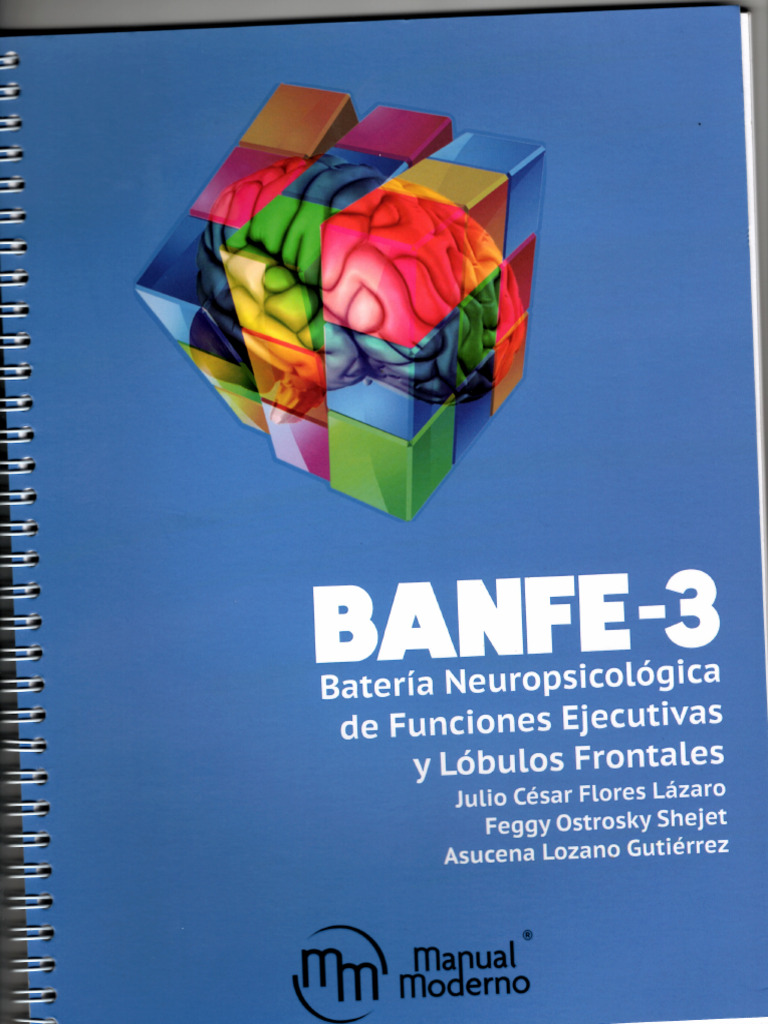 Manual Banfe-3 | PDF