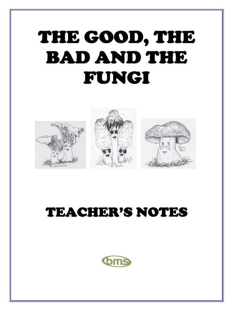 Bad Good Fungi | PDF | Fungus | Trees