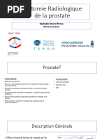 Prostate | PDF | Prostate | Anatomie