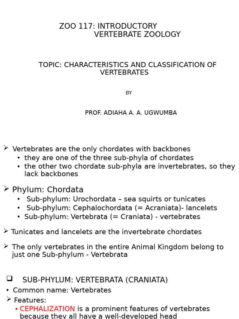 Characteristics and Classification of Vertebrates | PDF | Vertebrates ...