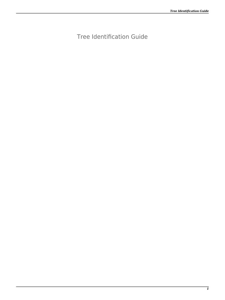tree-id-guide | PDF | Maple | Trees