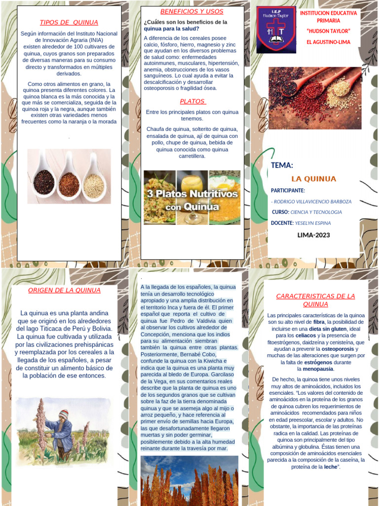 Triptico 4 QUINUA | PDF | Quinua