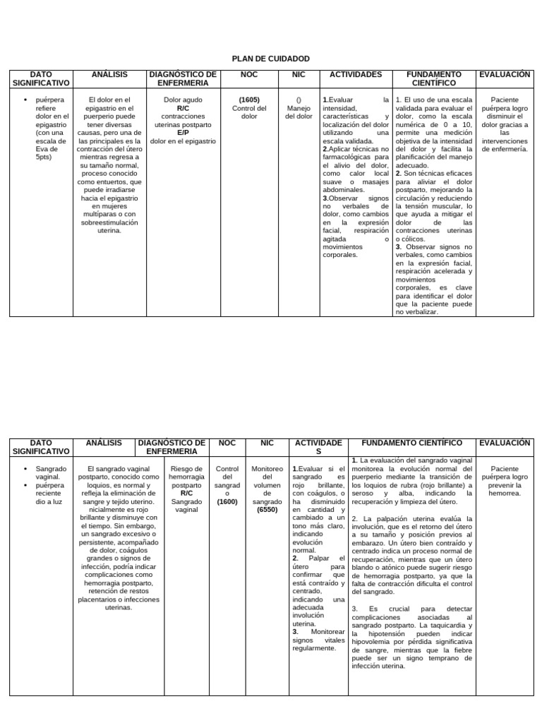 Plan de Cuidadod | PDF | Especialidades Medicas | Medicina CLINICA