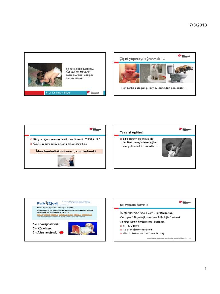 Ilmay Bilge 0307 | PDF