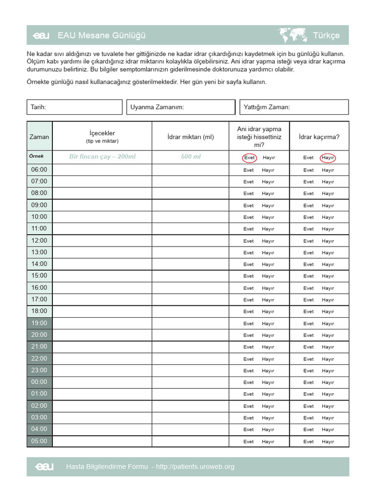 Bladder Diary TR | PDF
