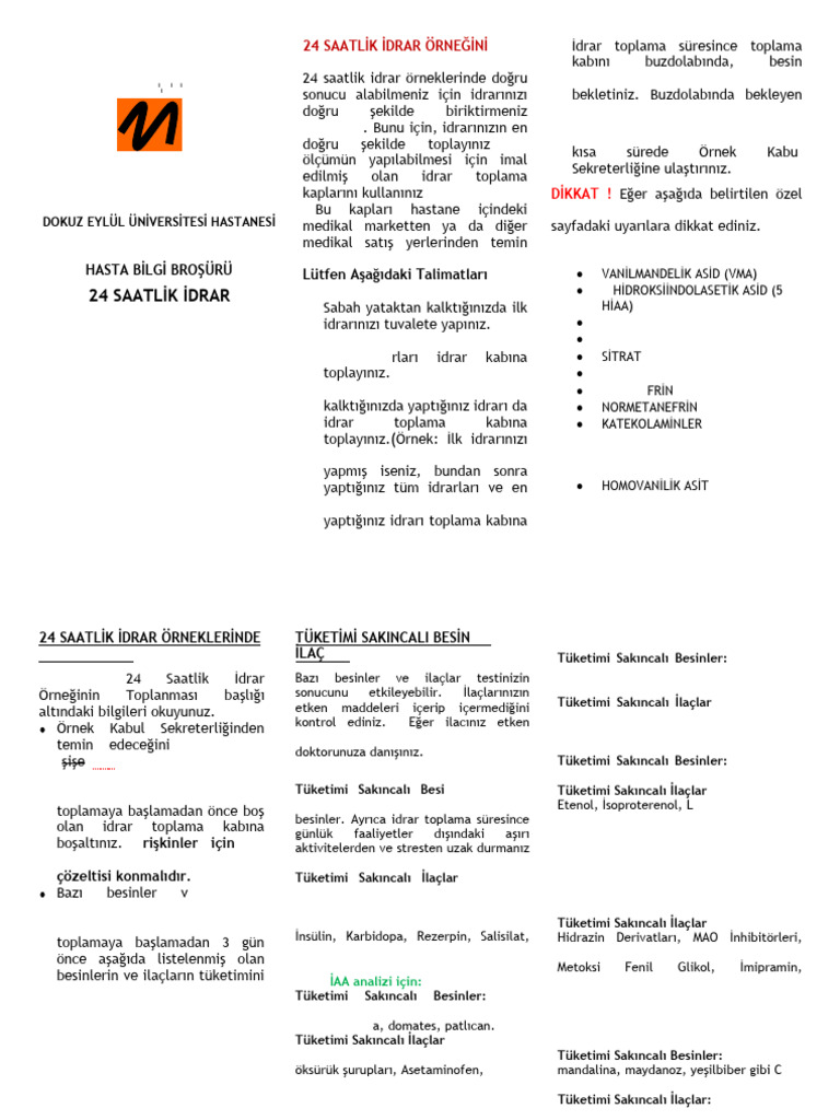 Merkez Lab Ek10 v2 | PDF