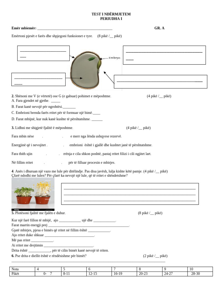 Dituri 5 Po | PDF