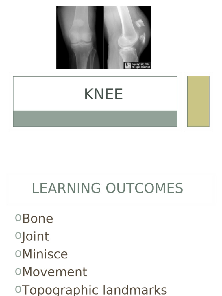 Knee Joint Anatomy and Function Overview | PDF | Knee | Foot