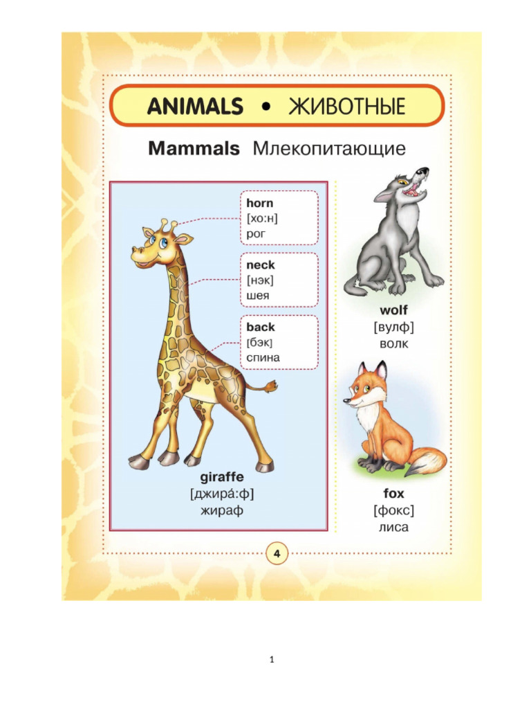 Animals | PDF