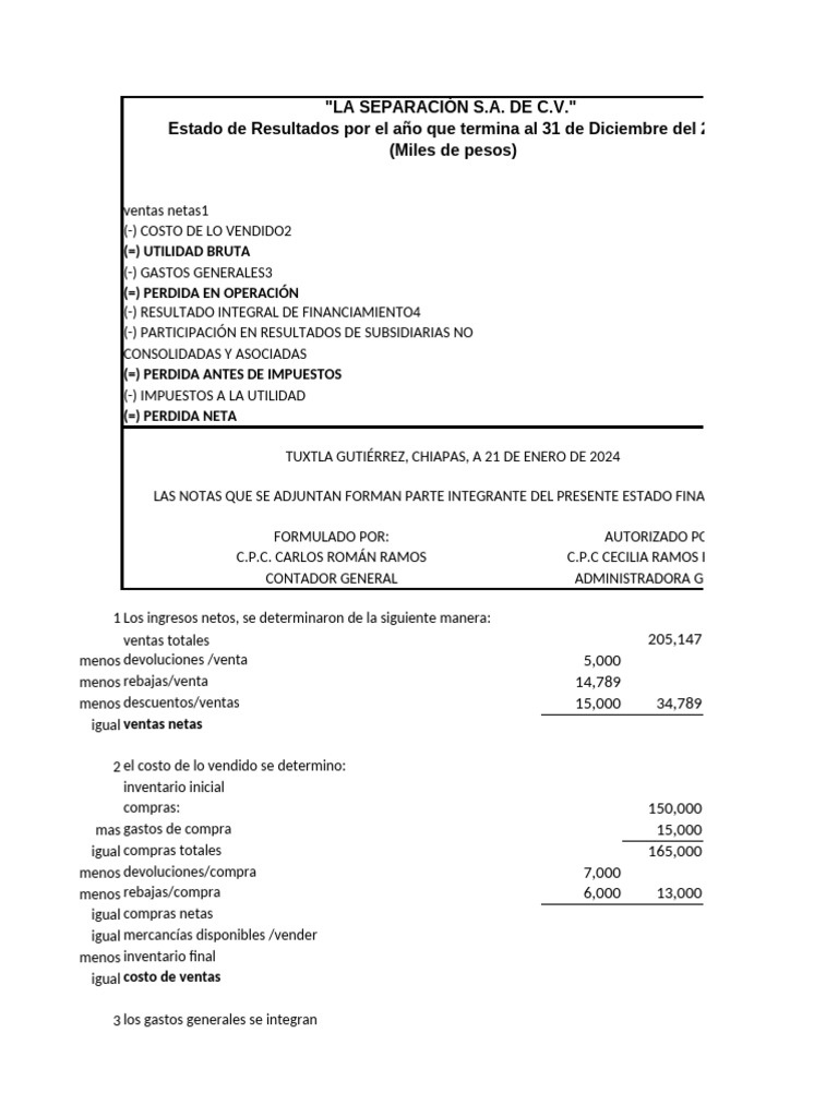 Estados Financieros 2024 | PDF | Servicios financieros | Hoja de balance