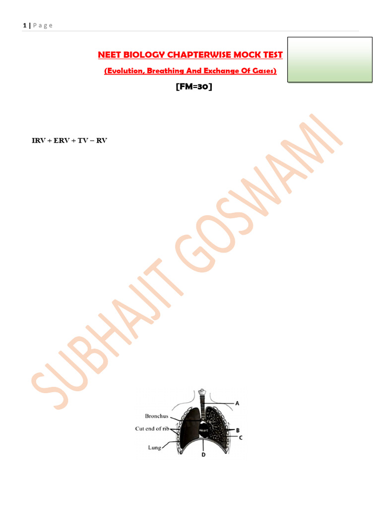 NEET Biology Mock Test: Evolution & Respiration | PDF | Respiratory ...