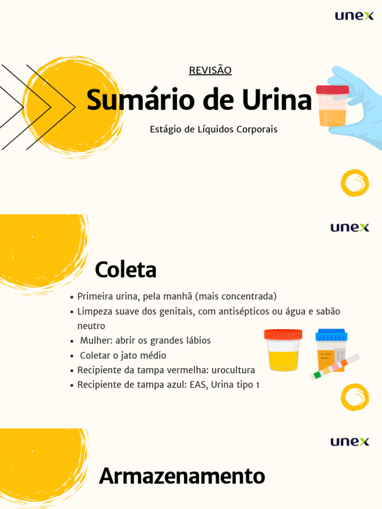Sumário de Urina - Revisão - 20240326 - 091441 - 0000 | PDF | Bile | Rim