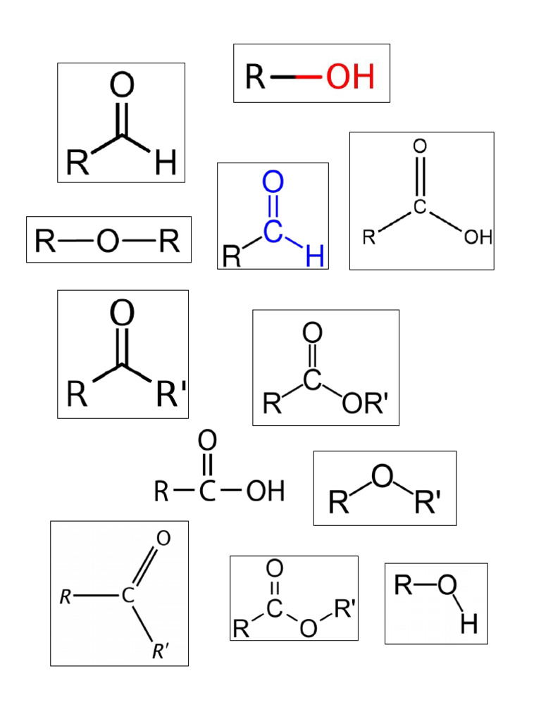12th - Oxygen Groups - Initial Activity | PDF