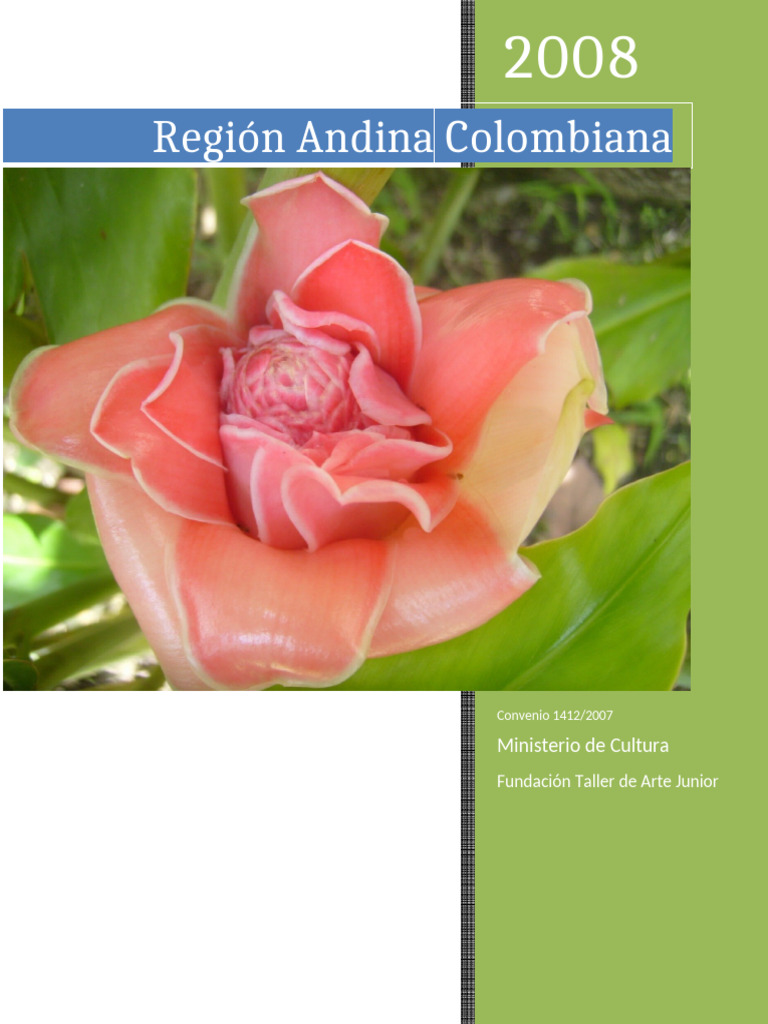 Region Andina Colombiana | PDF