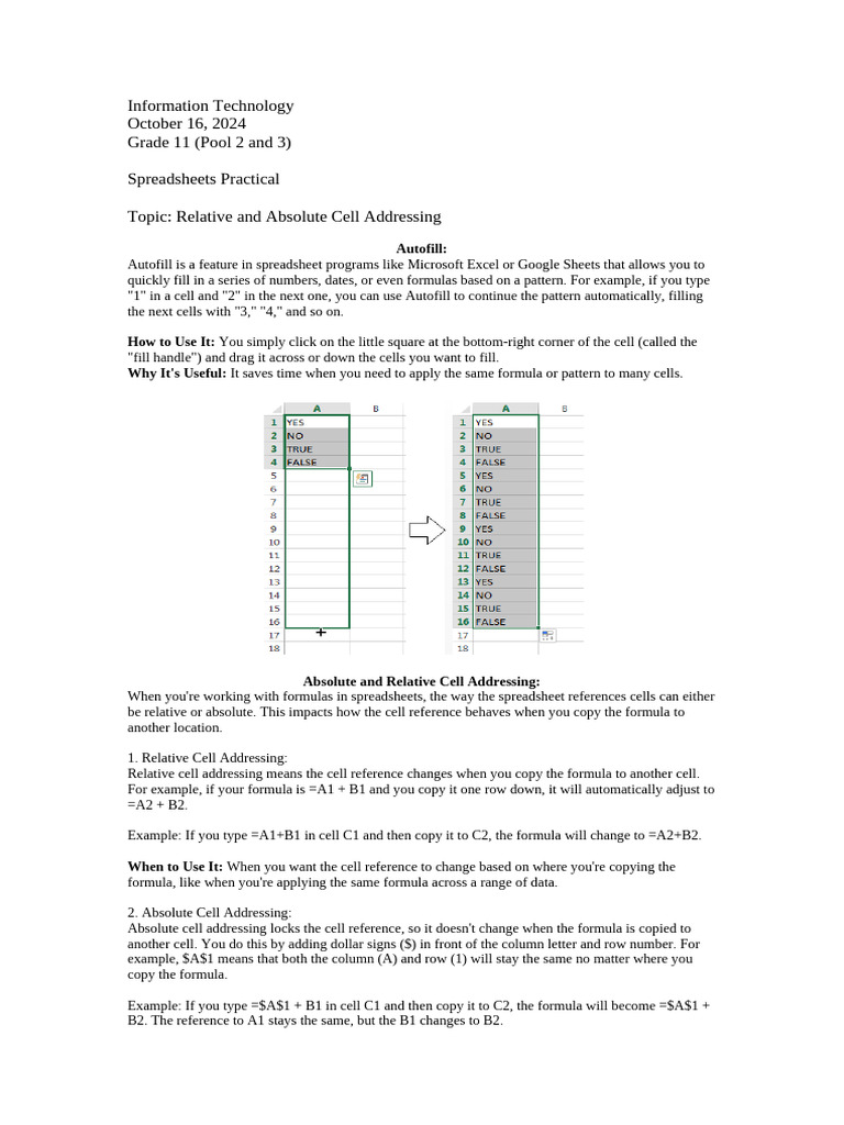 Relative vs Absolute Cell Addressing | PDF