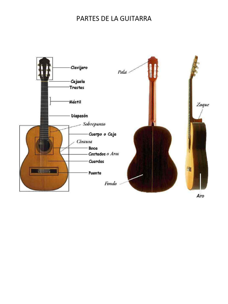 Partes de La Guitarra | PDF