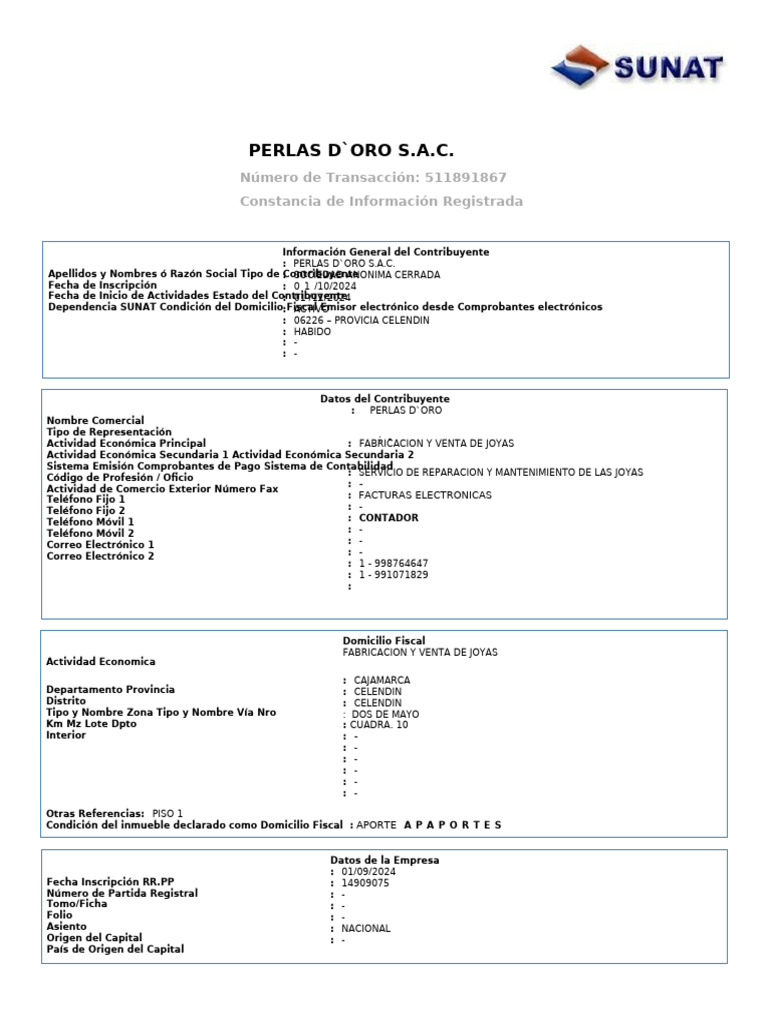 Ficha Ruc | PDF | Industrias de servicio