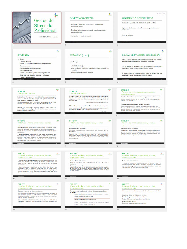Gestão Do Stress Do Profissional PRTSC | PDF