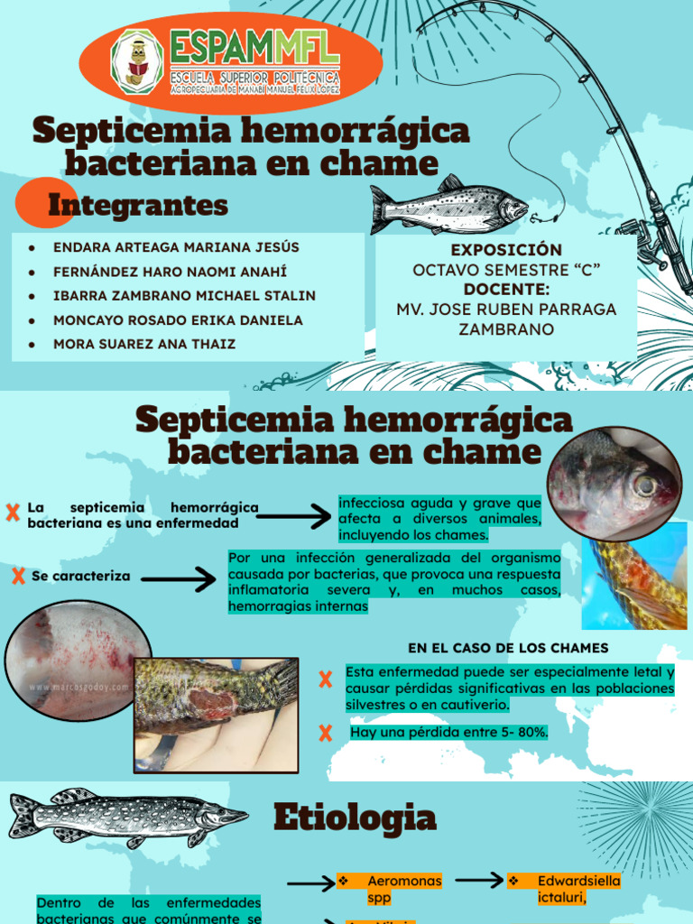 Septicemia Hemorrágica en Chame | PDF | Septicemia | Las bacterias