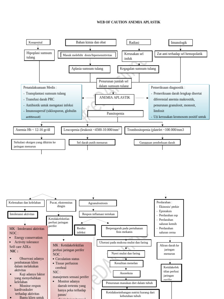 PDF Woc Anemia Aplastik Convert Compress | PDF